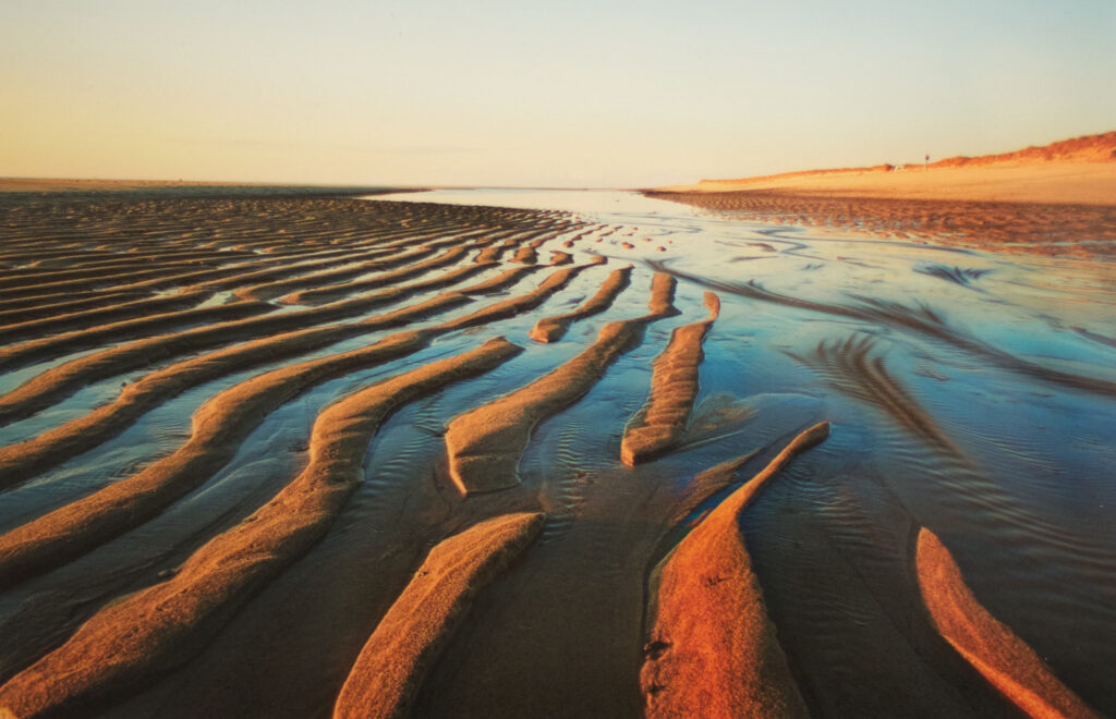 Tidal Patterns - Co|So - Copley Society of Art