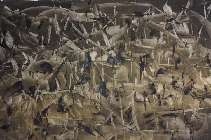 Entangled Lines - Co|So - Copley Society of Art