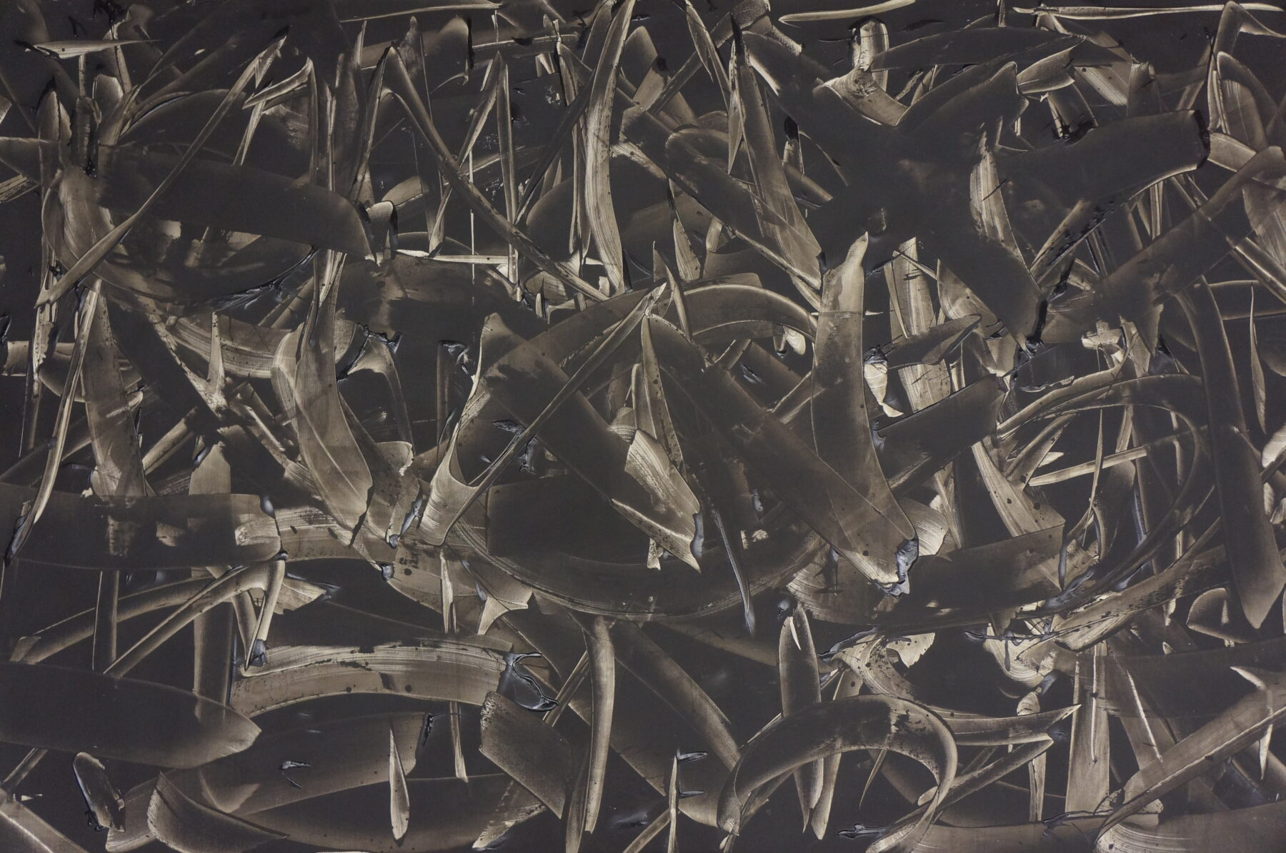 Entangled Lines - Co|So - Copley Society of Art