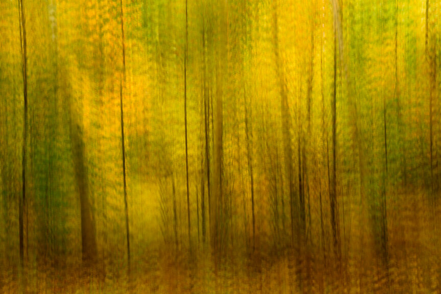 Muted Fall Colors - Co|So - Copley Society of Art