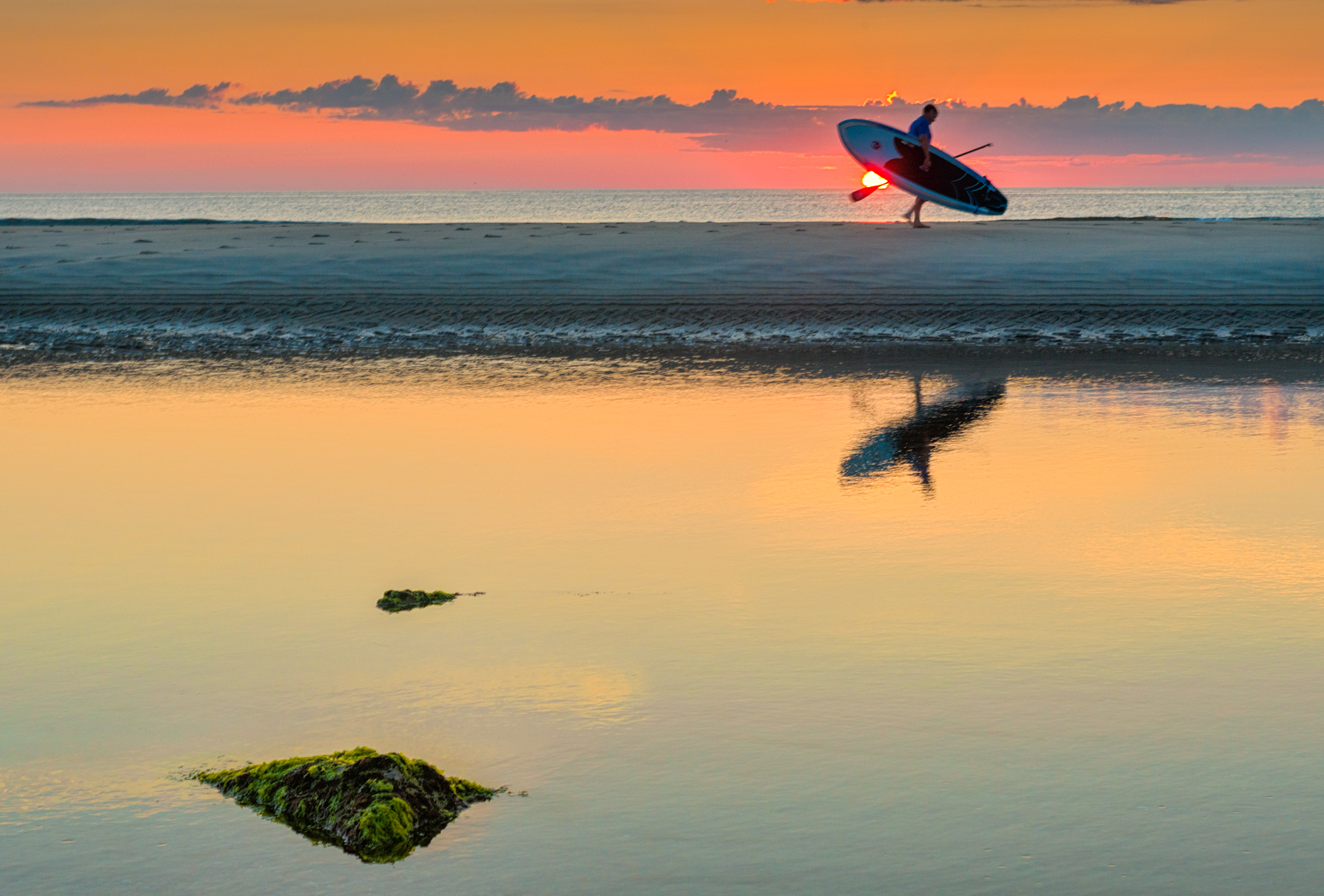 Lone Surfer - Co|So - Copley Society of Art