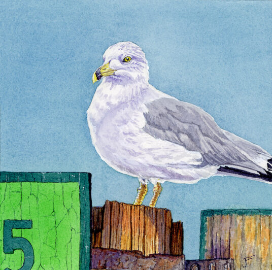 A Sharp Lookout - Co|So - Copley Society of Art