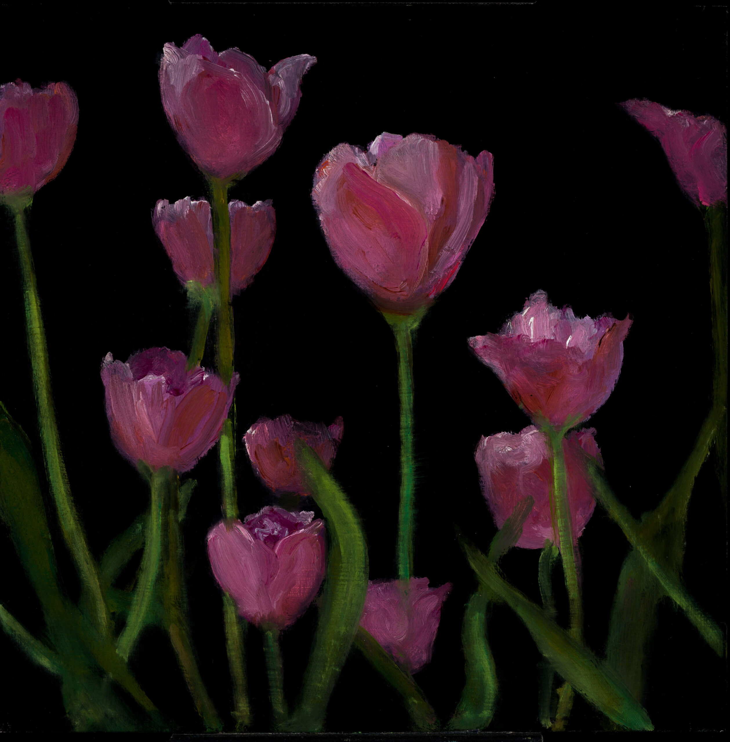 Midnight Tulips - Co|So - Copley Society of Art