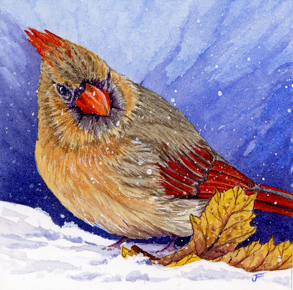 Cardinal Comfort - Co|So - Copley Society of Art