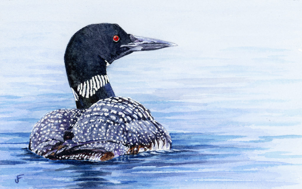 Common Loon I - Co|So - Copley Society of Art