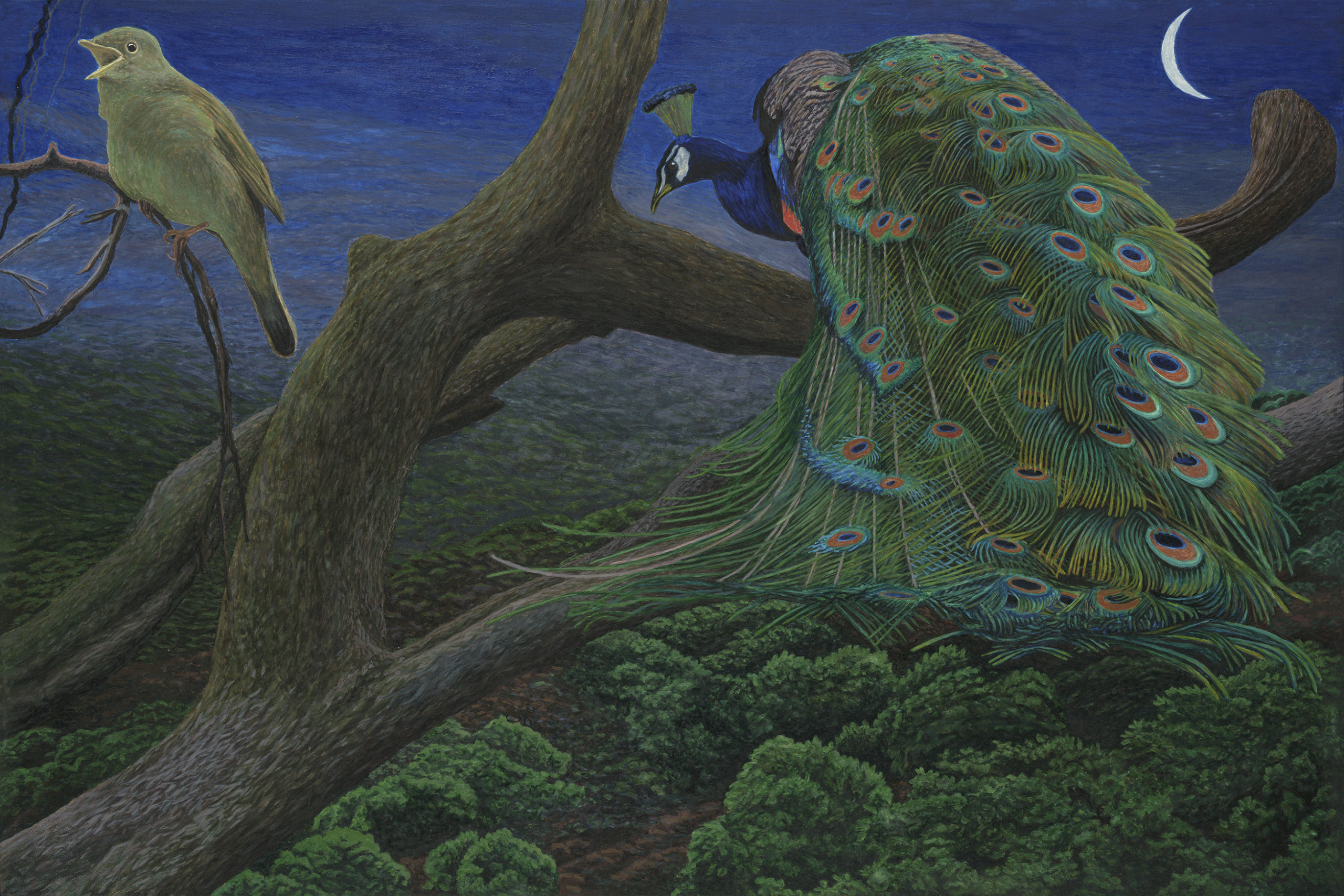 New Members Show 2023 - Co|So - Copley Society of Art