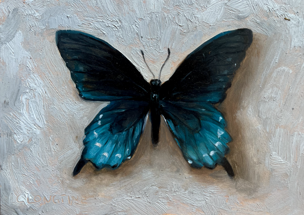 Pipevine Swallowtail - Co|So - Copley Society of Art