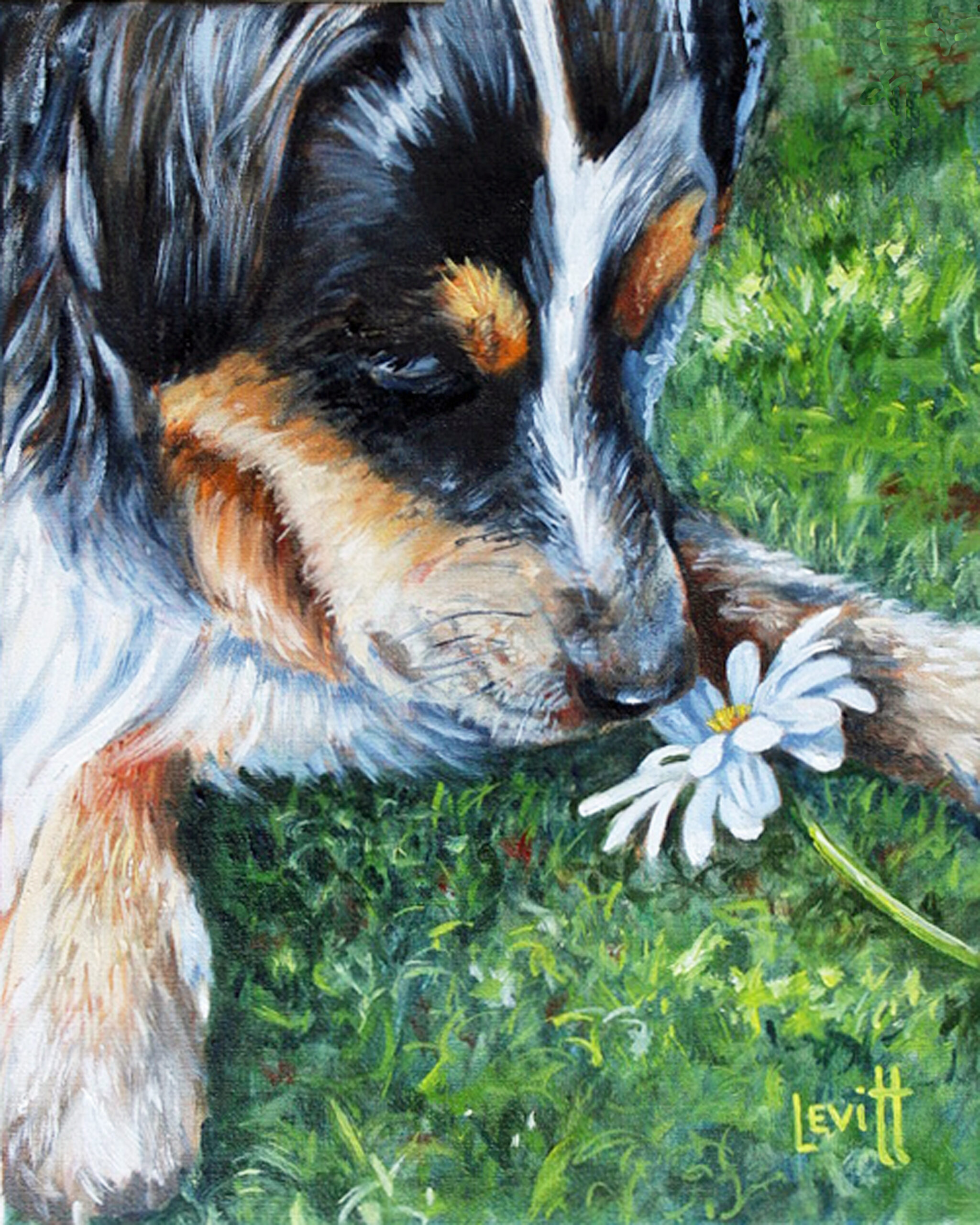 Please Don't Eat The Daisies - Co|So - Copley Society of Art Please Don't Eat The Daisies - Co|So - Copley Society of Art