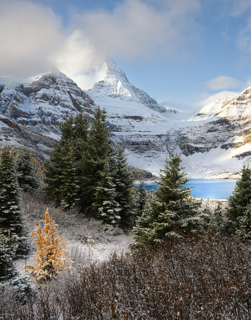Mt. Assiniboine - Co|So - Copley Society of Art