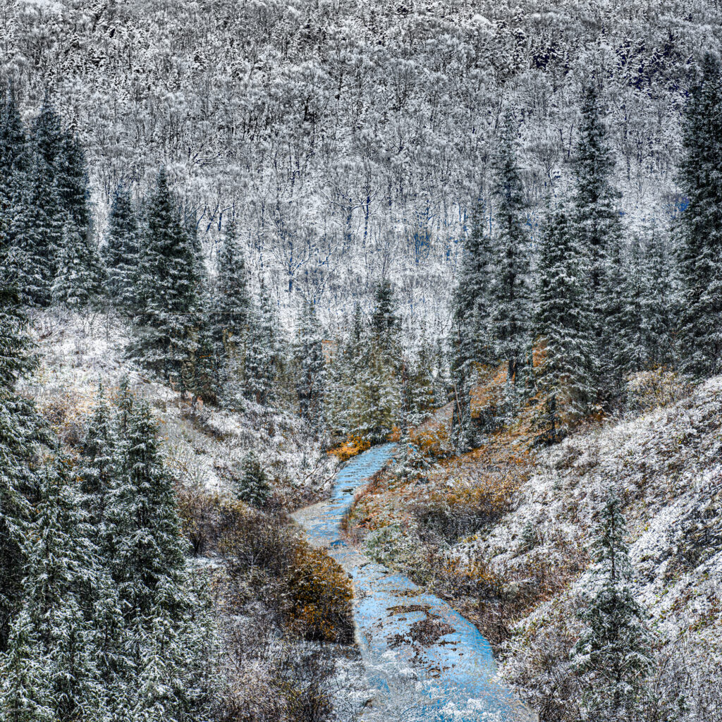 Change of Season - Co|So - Copley Society of Art